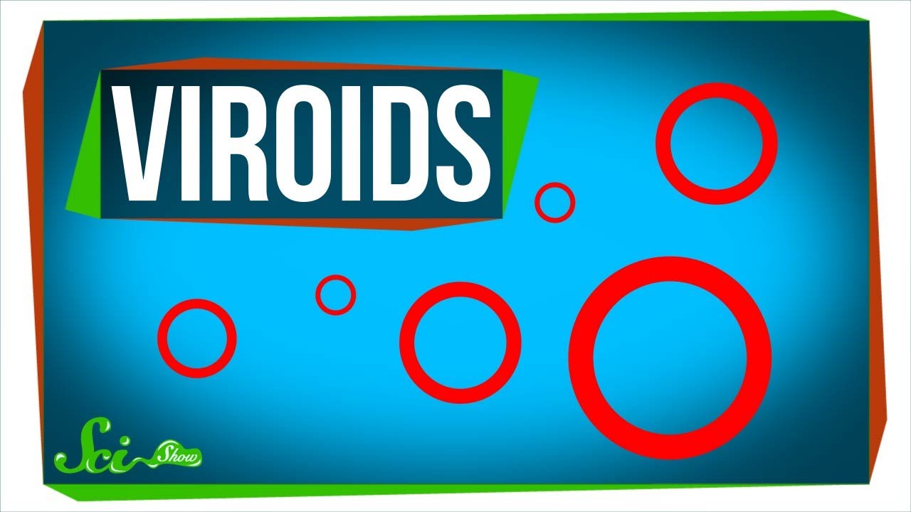 Viroids: The World's Smallest Pathogens | Videos