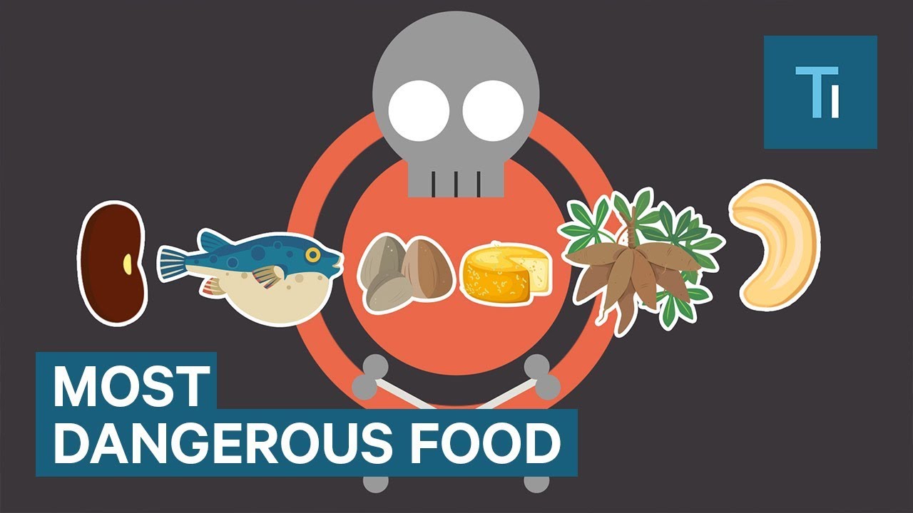 6 Deadly Foods For the Culinary Daredevil | Videos