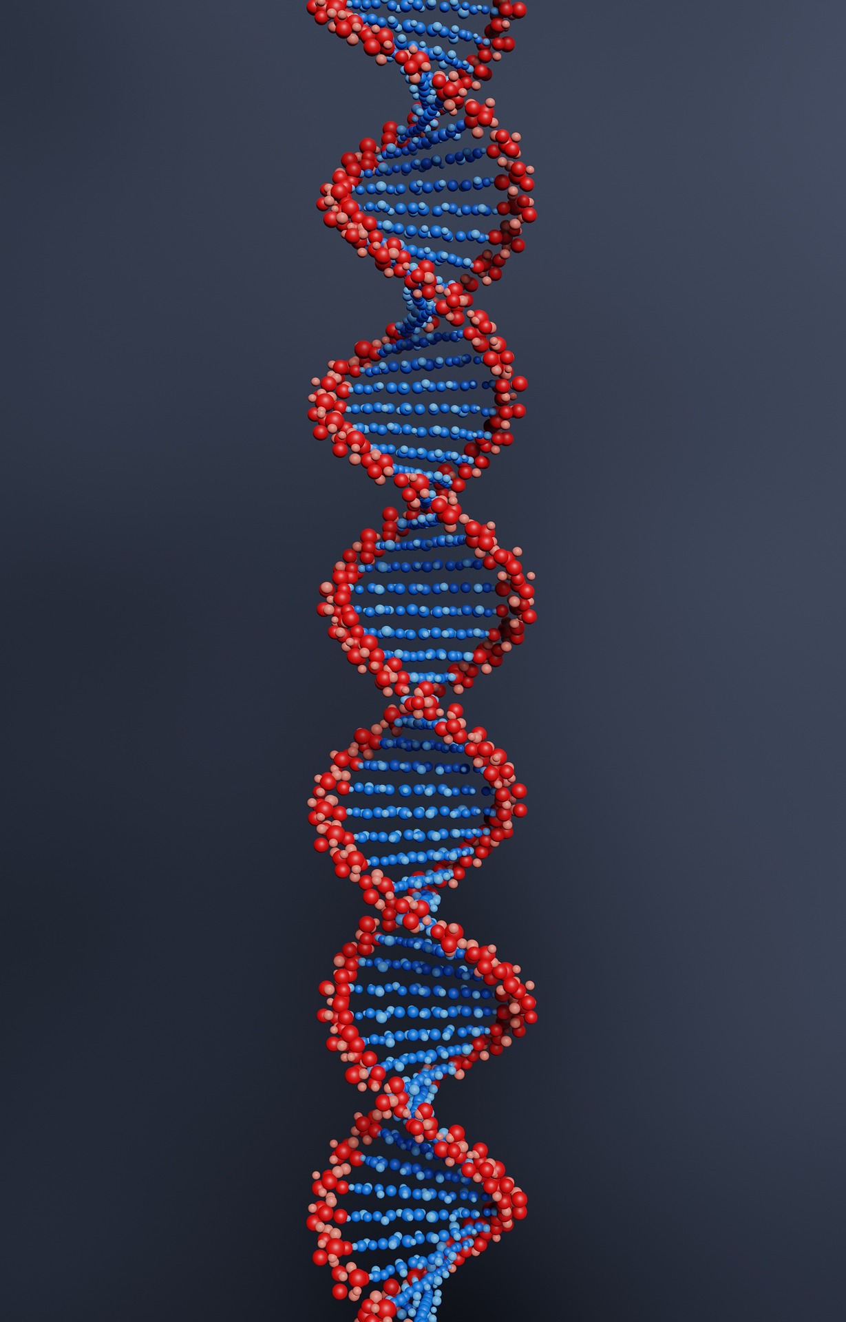 Cell Mutation Predicts Chemotherapy Response in Bladder Cancer | Immunology