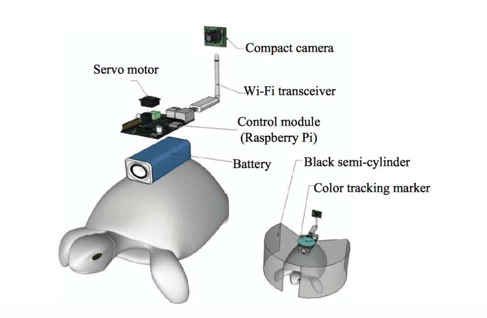 A Device That Lets Humans Control Tutles With Their Minds | Plants And ...