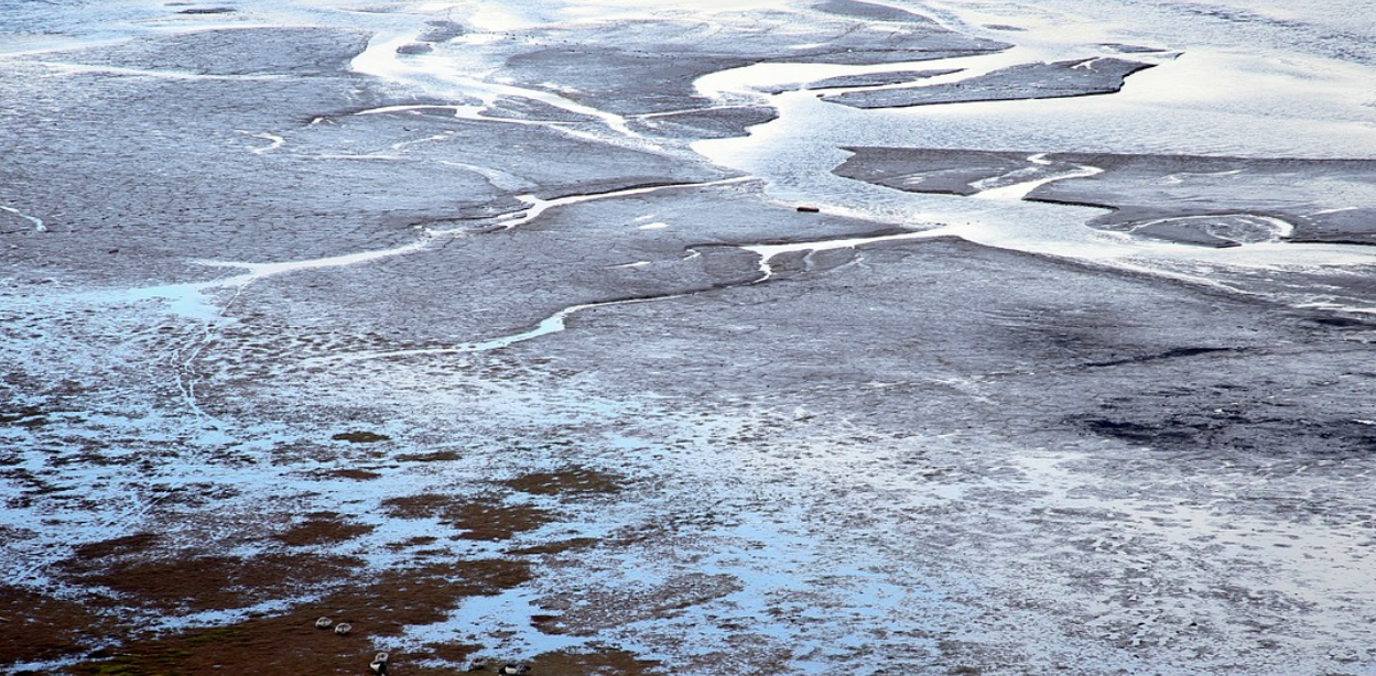 48,500-Year-Old Virus Recovered From Permafrost Can Still Infect Cells ...