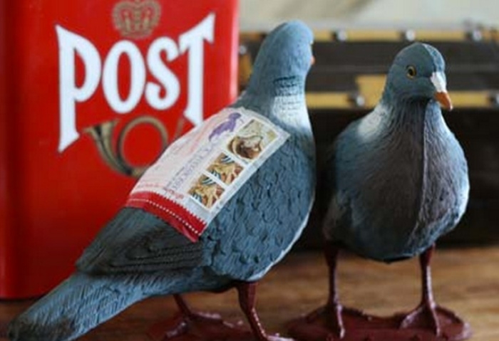 Pigeon word game boosts understanding of associa | Neuroscience
