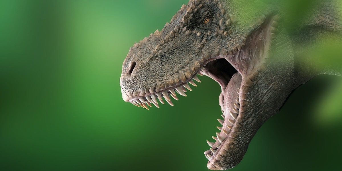 Scientists Shed Light on 'Teenaged' T. Rex | Plants And Animals