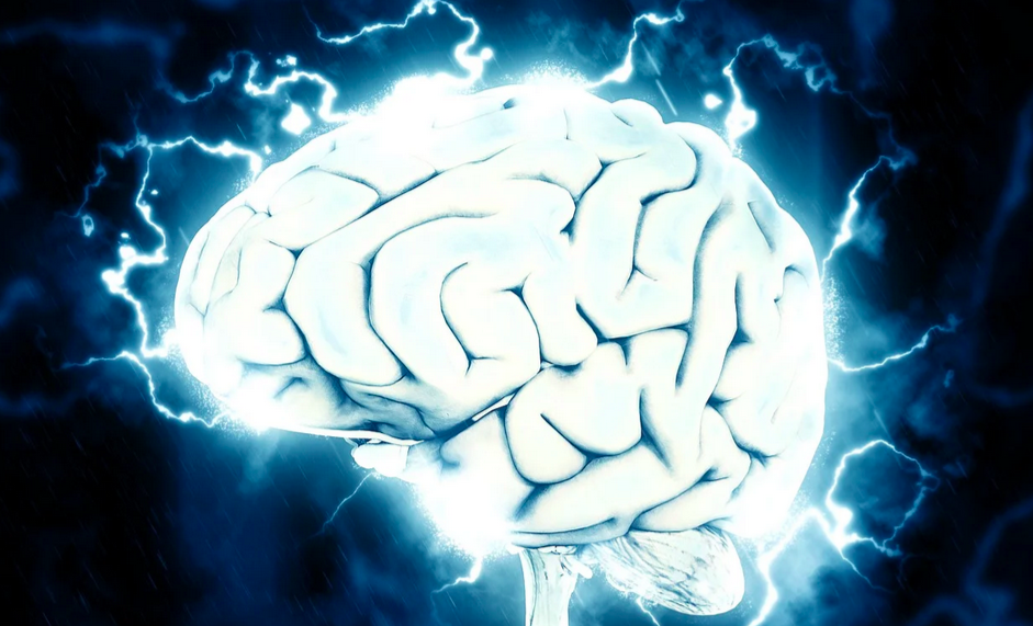 Receptor Structure Reveals New Insights Into Epilepsy | Cell And ...