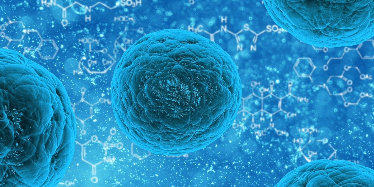 Transforming T Cells into Powerful Memory Cells That Target Cancer ...