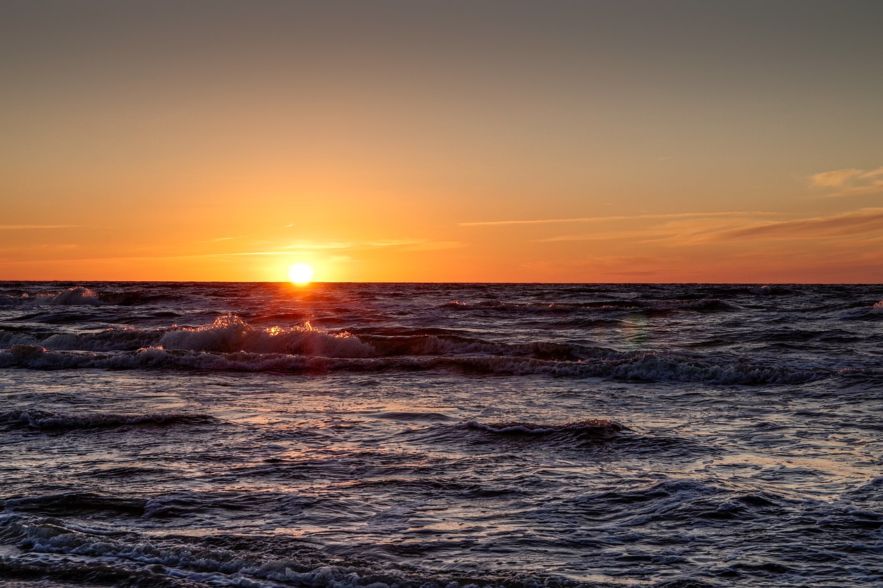 Ecosystem Overhaul: Marine Heat Waves' Ripple Effects on West Coast ...