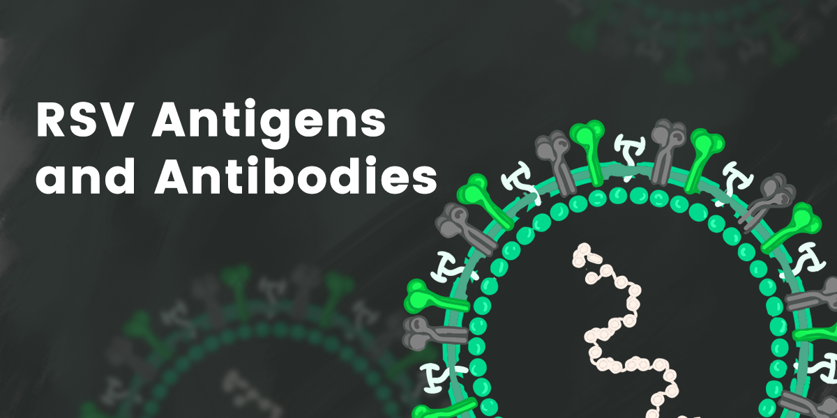 Respiratory Syncytial Virus Antigens and Antibodies | Drug Discovery And Development