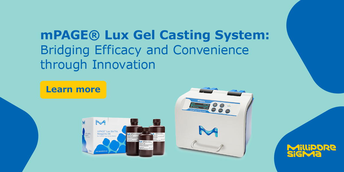 mPAGE® Lux Gel Casting System: Bridging Efficacy and Convenience through Innovation | Immunology