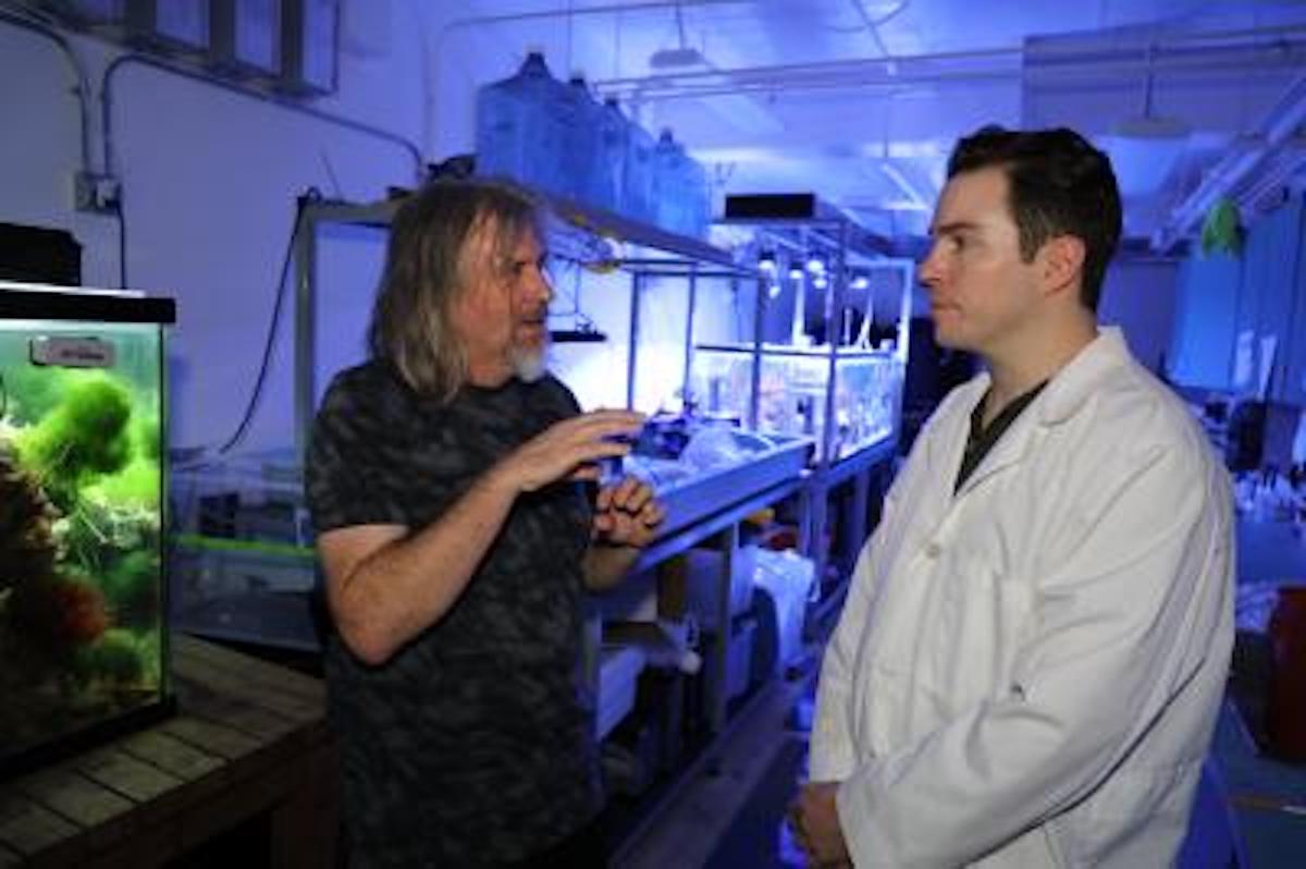 Using Food to 'Sculpt' the Gut Microbiome | Microbiology