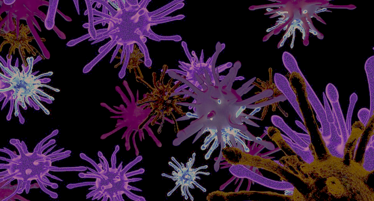 The Baby Gut is Loaded with Viruses | Microbiology