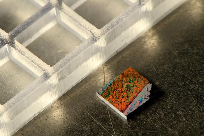 Novel Blood Test Rapidly Diagnoses Heart Attacks in Early Stages ...