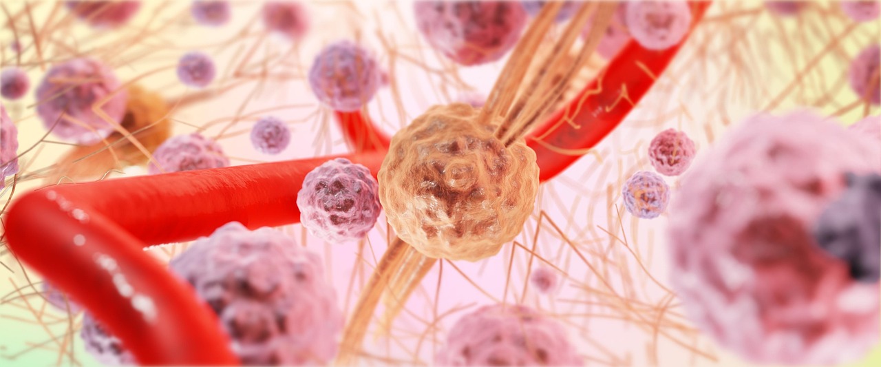 Engineered Immune Cells Improves Anti-Cancer Response | Immunology
