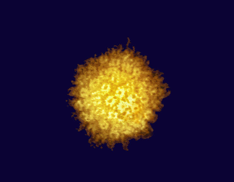 A Gene Editing Treatment That Takes Aim at Herpes Infections | Cell And ...