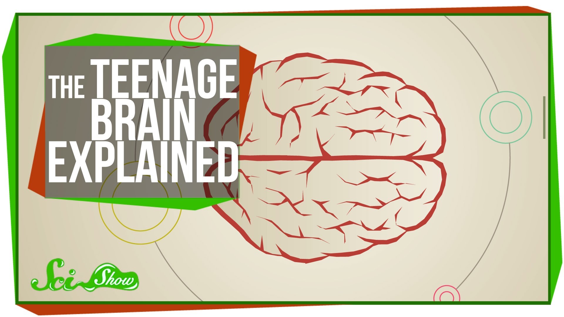 Understanding the teenage brain | Videos