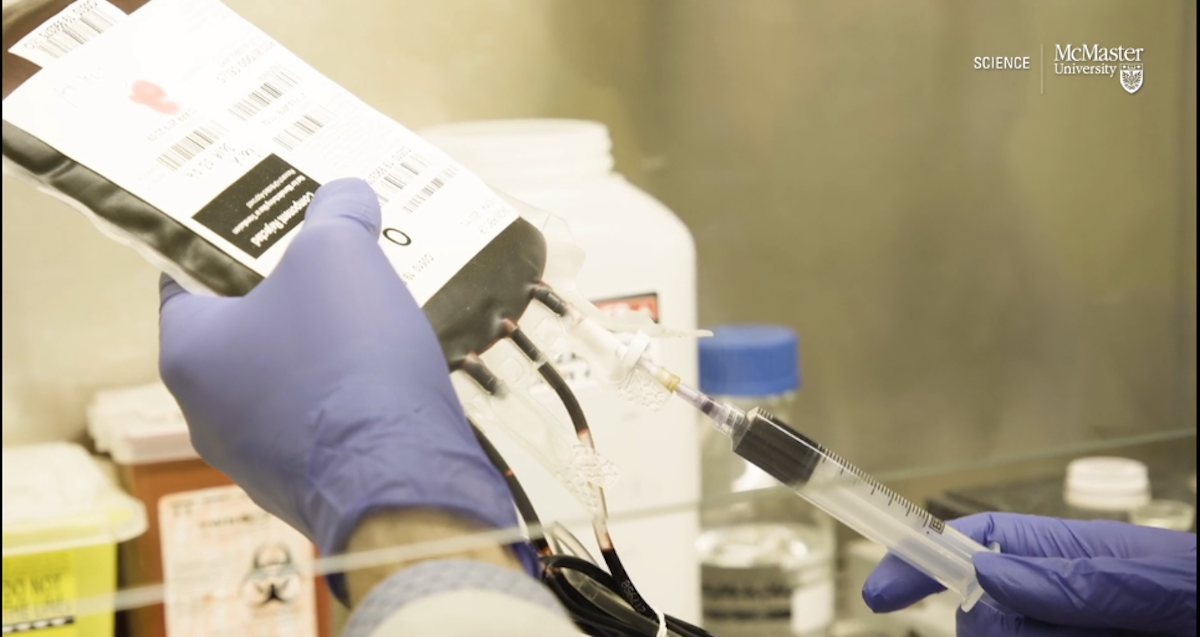 Using Modified Red Blood Cells As a Drug Delivery System | Cell And ...