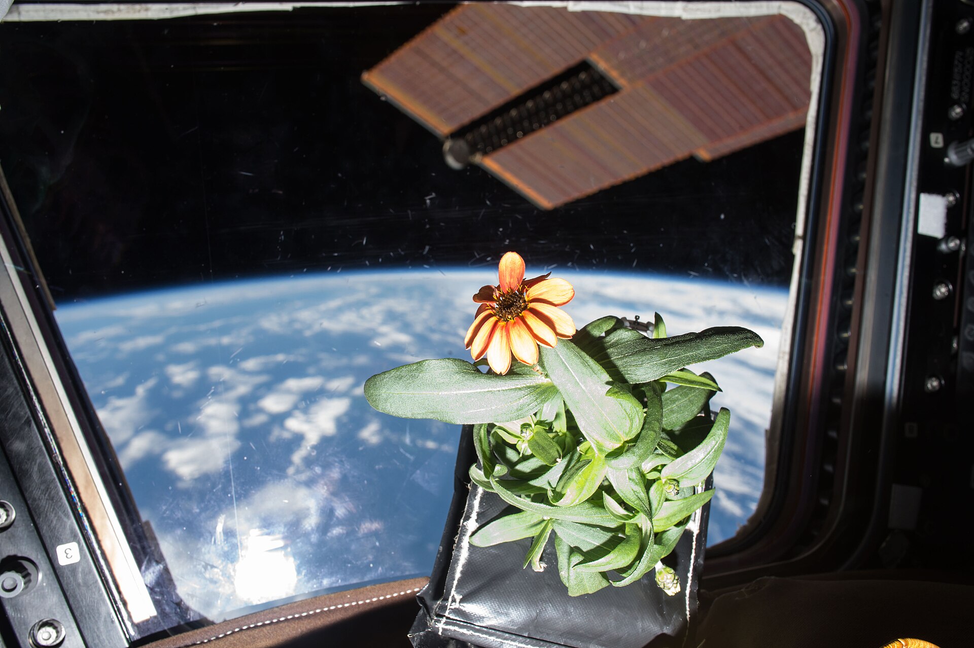 How astronaut waste could feed future colonies in space | Space