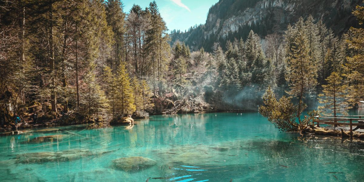 Watching Natural Scenes Reduces Pain Perception | Neuroscience
