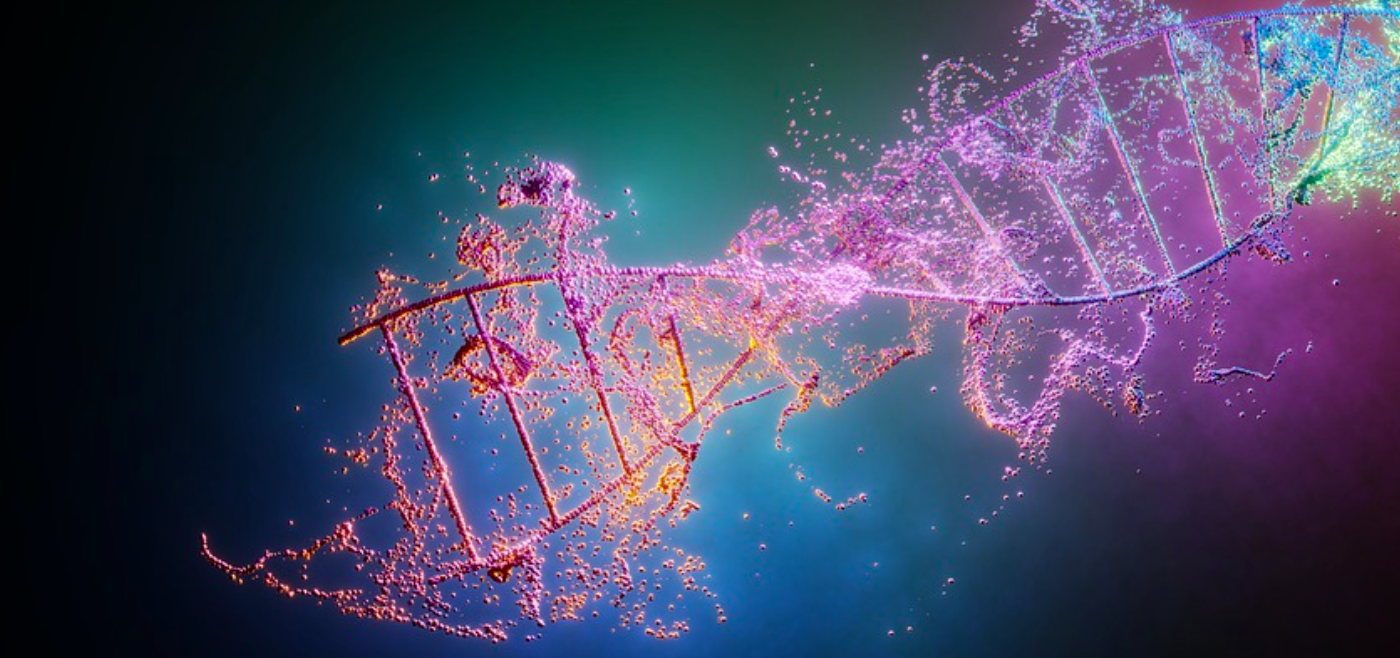 New Insights Into How Breaks in 'Junk' DNA are Repaired | Genetics And ...