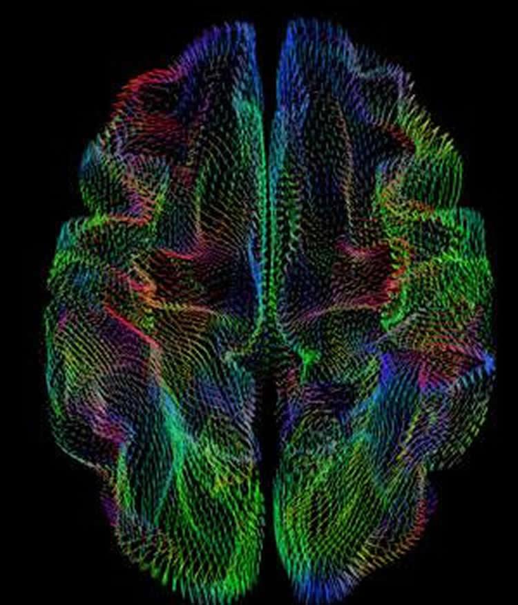 Genetic Geometry | Genetics And Genomics