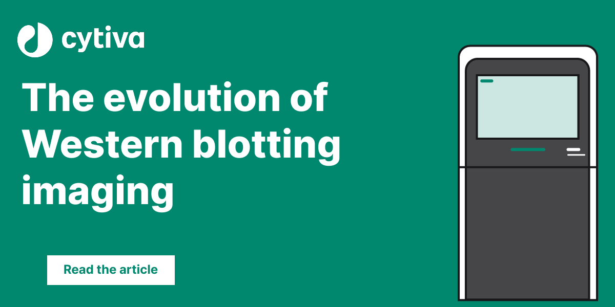 The evolution of Western blotting imaging | Drug Discovery And Development