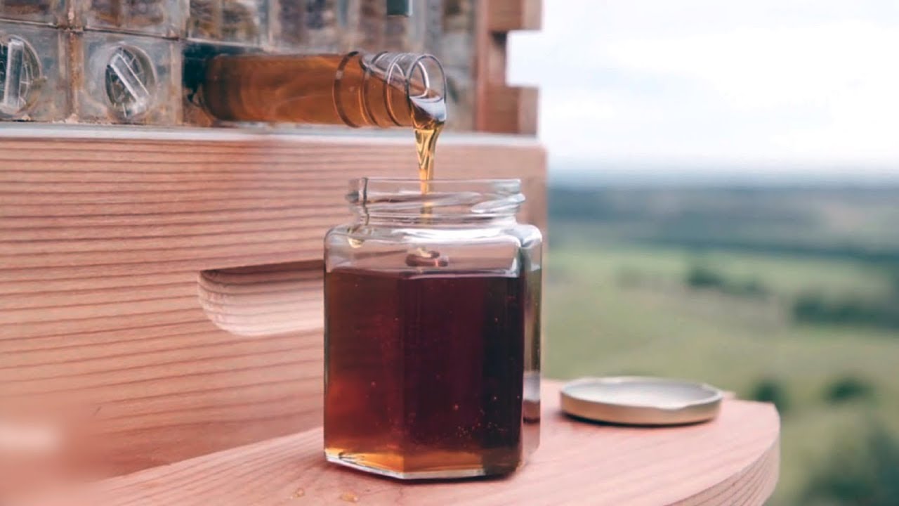 This Man-Made Beehive is Every Bee-Keeper's Dream | Videos