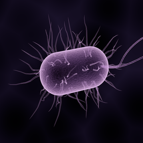Engineered Microbes can Make Memories | Microbiology