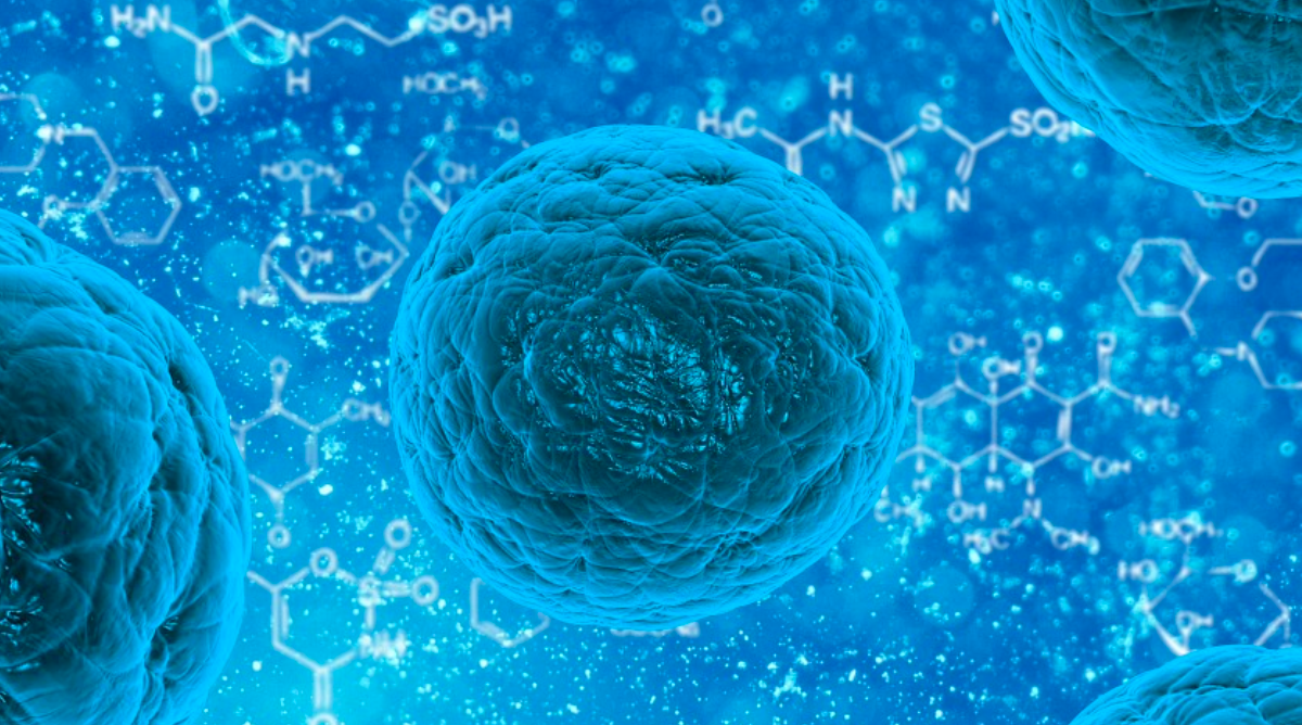 How a Bacterial Pathogen Takes Over Host Cell Machinery | Cell And ...
