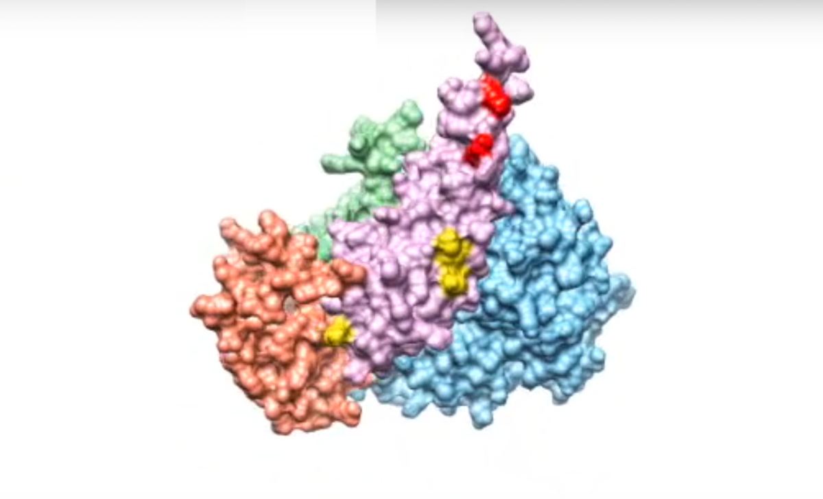 Combining Methods to Learn More About Protein Interactions | Cell And ...