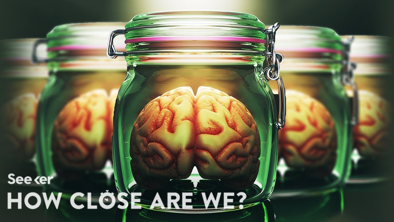 Can we Mass-produce Organs for Patients Anytime Soon? | Videos