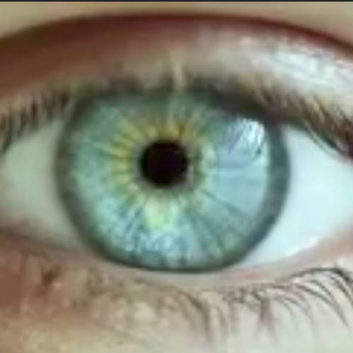 Understanding Eye Lens Development | Cell And Molecular Biology