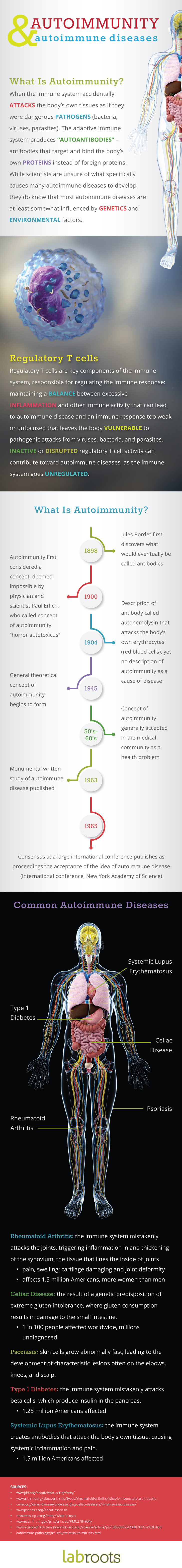 Autoimmunity and Autoimmune Diseases | Infographics