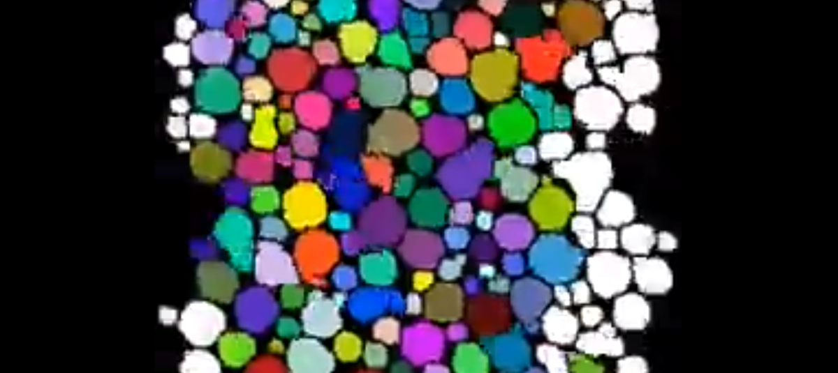 Understanding the Restorative Power of Sleep | Cell And Molecular Biology