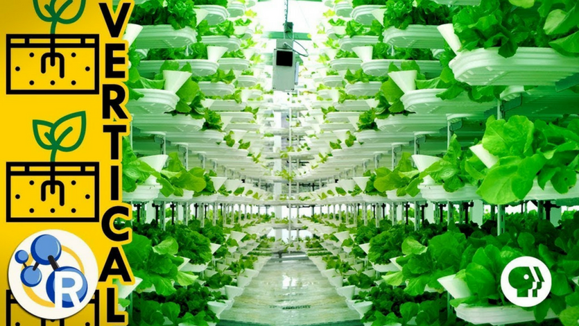 The Science Behind Vertical Farming | Chemistry And Physics