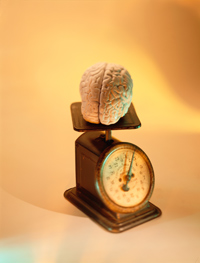 Brain size and Intelligence | Neuroscience