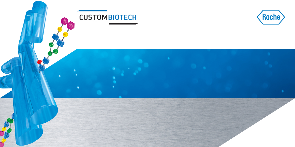 In vitro glycoengineering - Suitability for BioPharma manufacturing ...