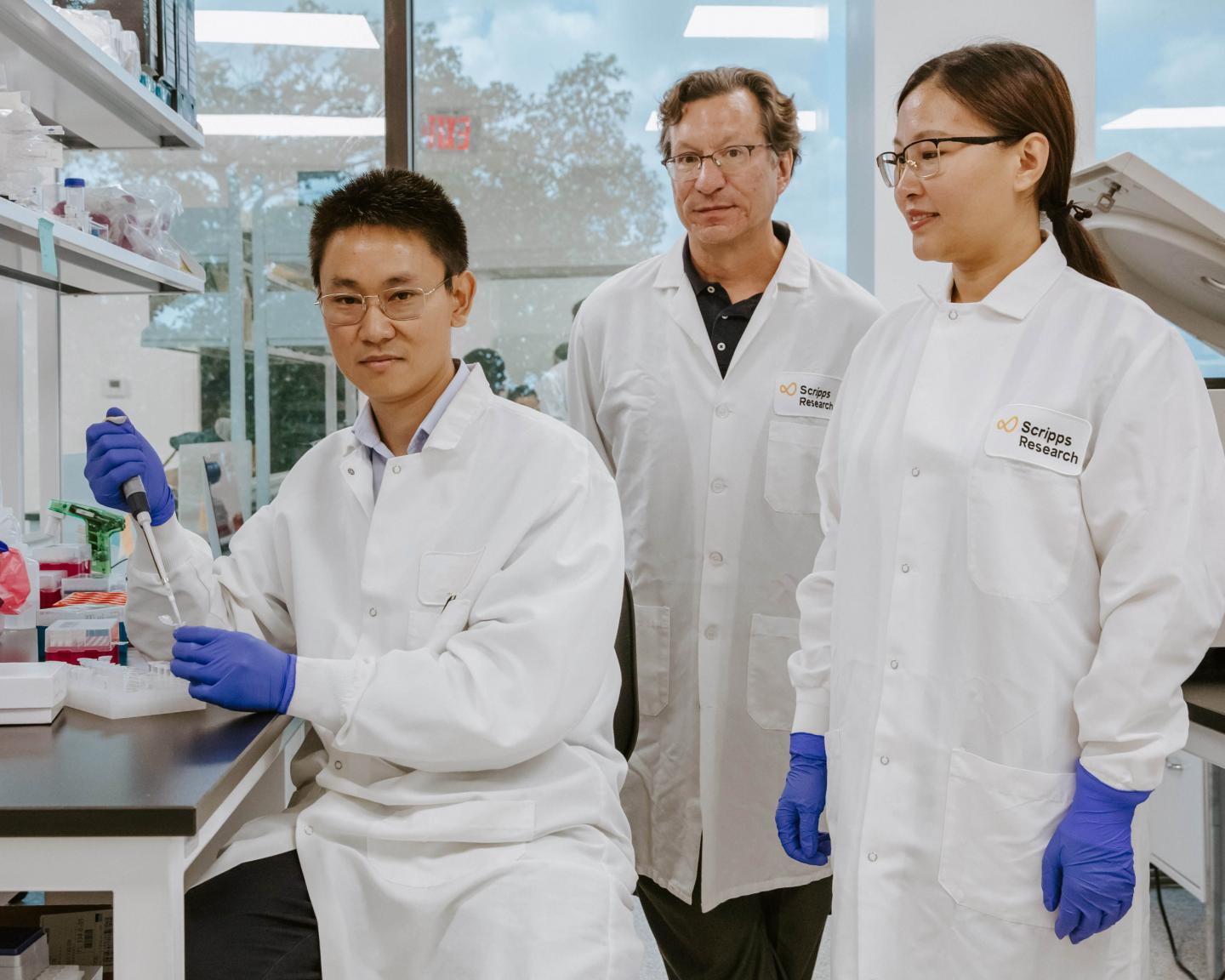 A Molecular Switch for Modulating Gene Therapy Doses | Cell And ...