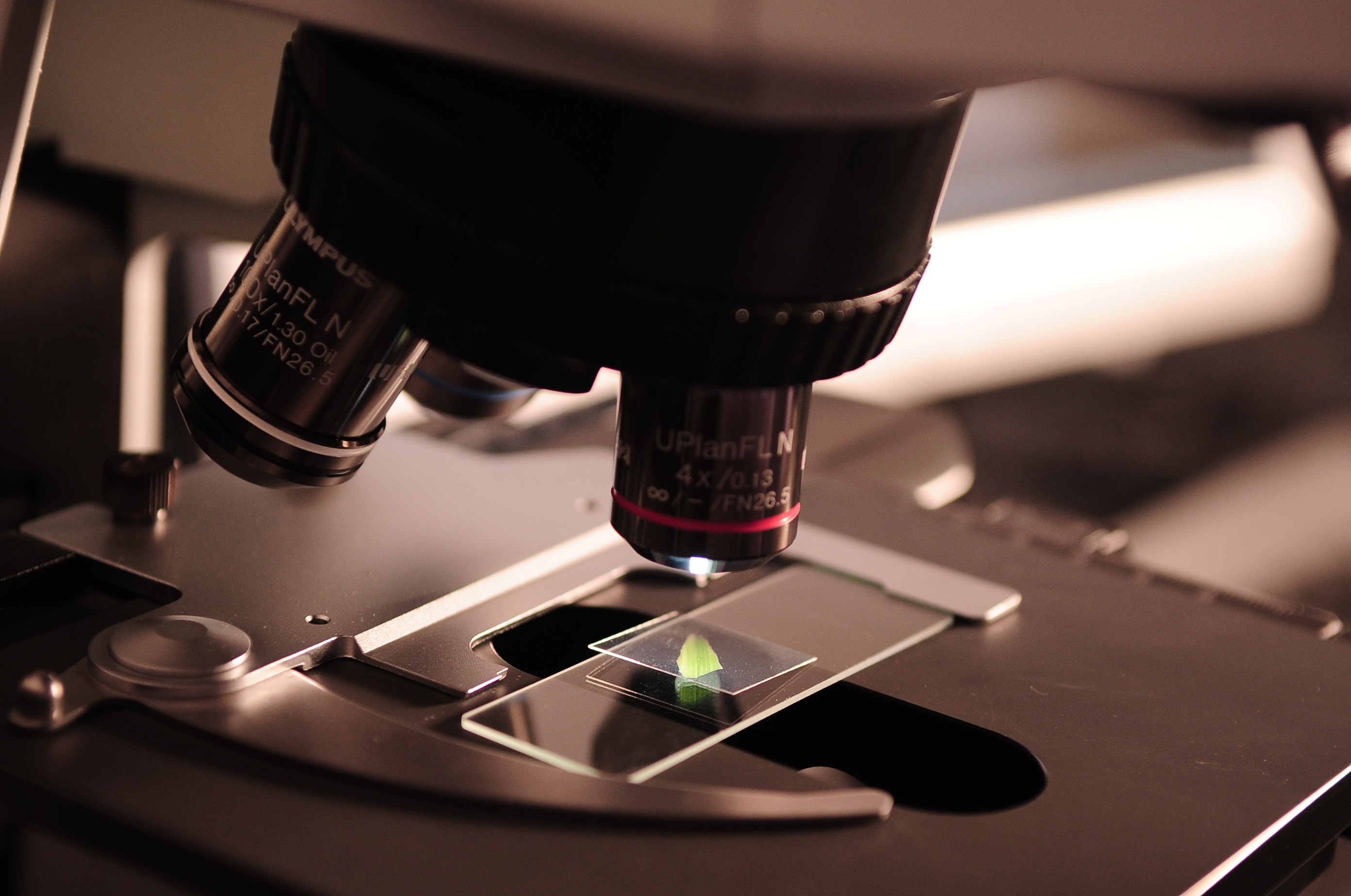 "Study May Proceed" for Major Depressive Disorder Drug | Drug Discovery ...