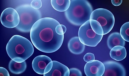 Molecular Biology: What is it and how is it used? | Cell And Molecular ...