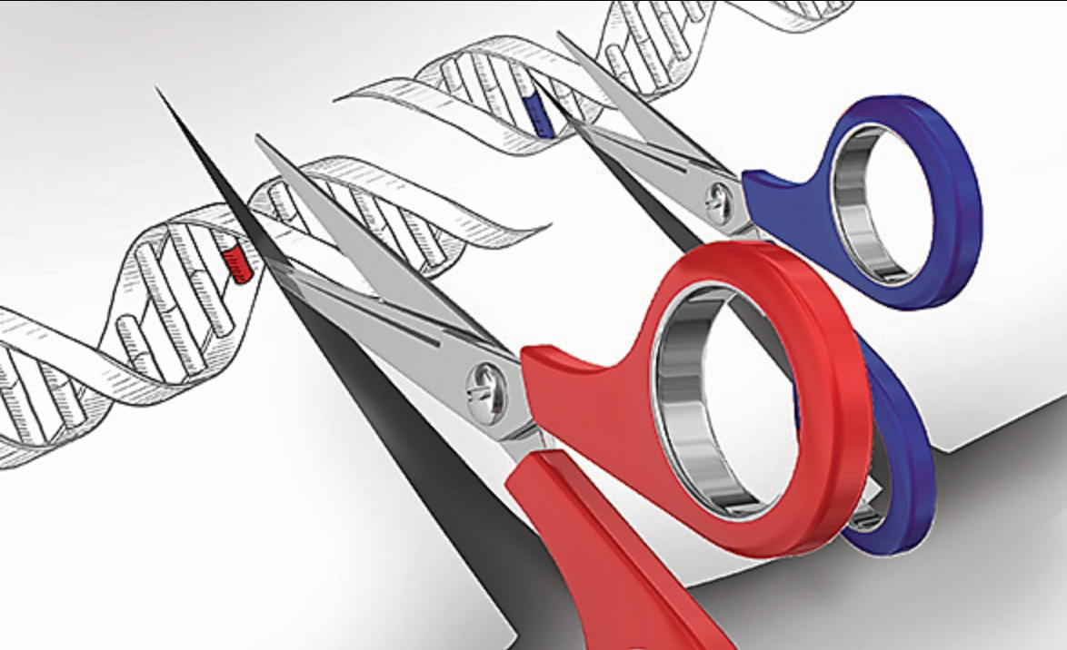 Redefining A Cell's Identity with Gene Editing | Genetics And Genomics