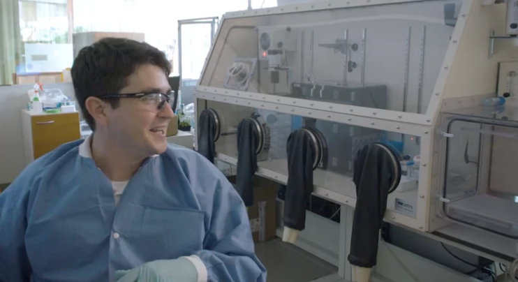 Stem Cells are Locked into the Developmental Process | Cell And ...