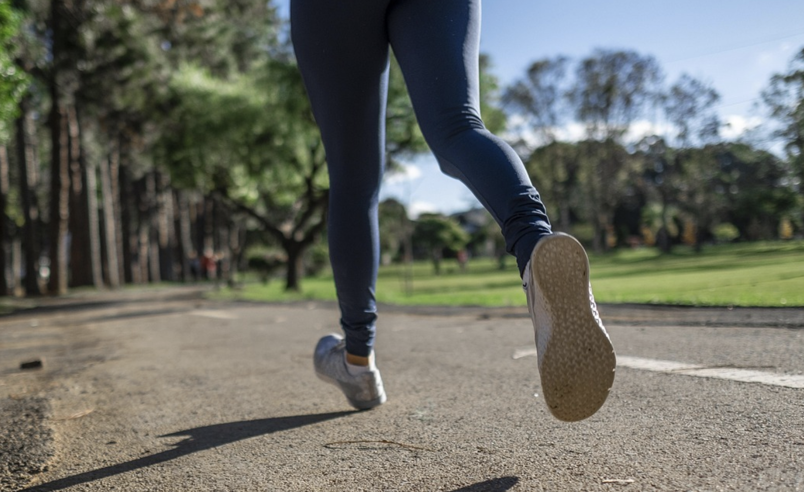 A Flow Valve in the Gut is Found | Cell And Molecular Biology