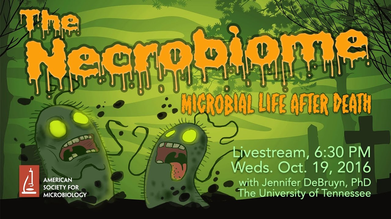 The Necrobiome: Microbial Communities of Death | Videos