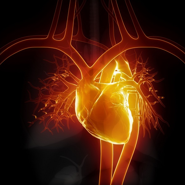 Fierce Anger Burst May Spur Heart Attack Shortly | Cardiology