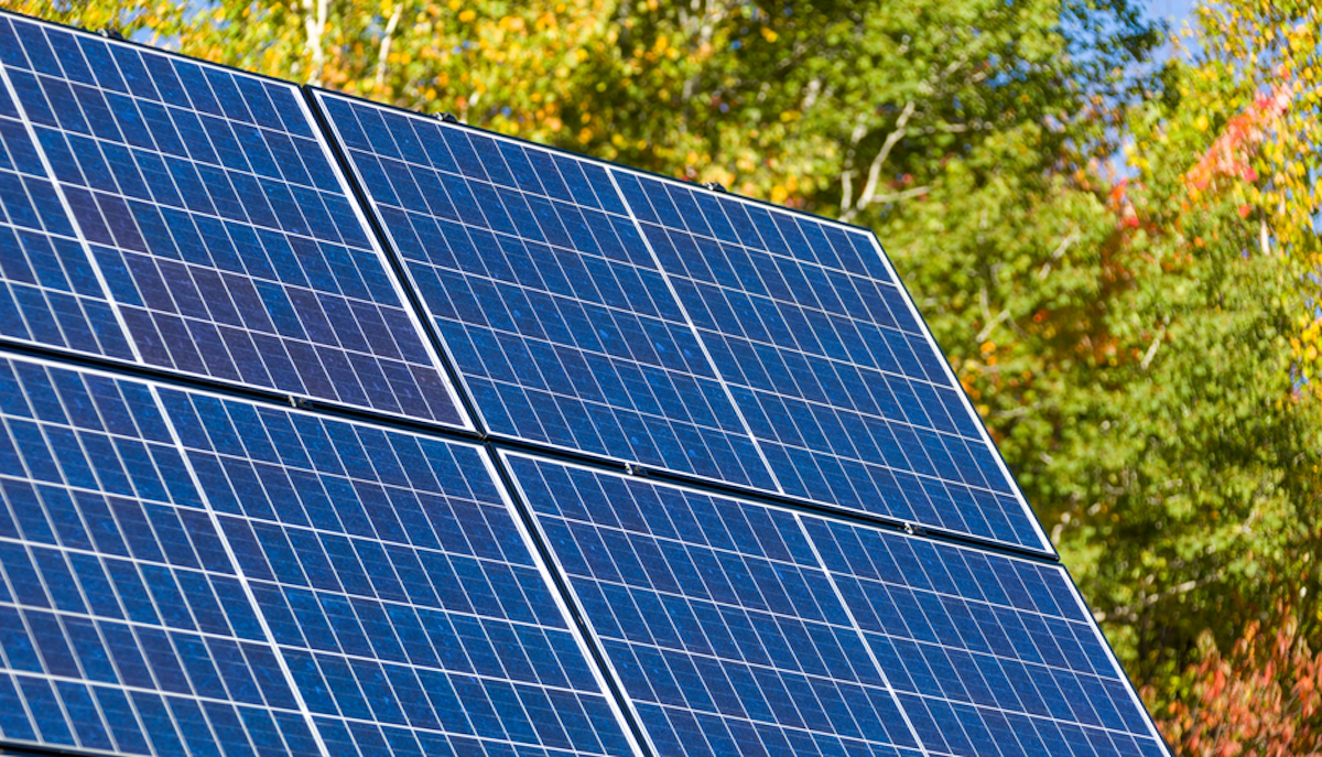 A New Microbe is Discovered in an 'Unnatural' Environment | Microbiology