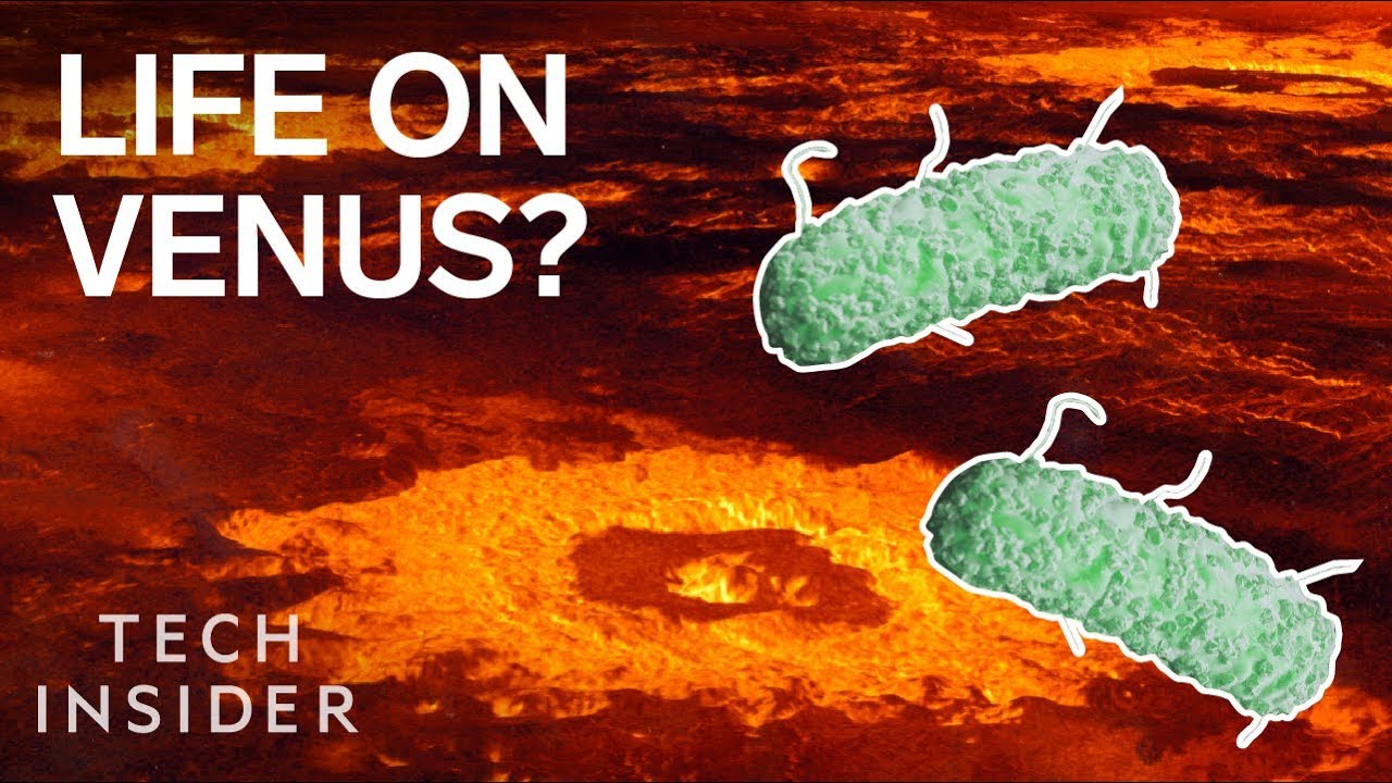 There Could Be Life on Venus After All... | Videos