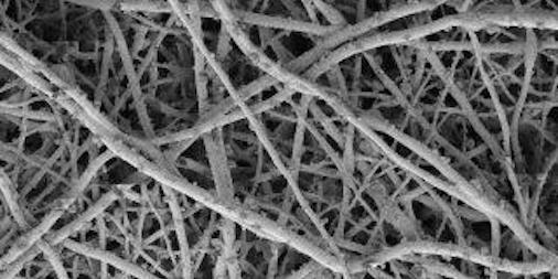 Silver-ion Coating Allows Bone Regeneration While Halting MRSA Growth ...