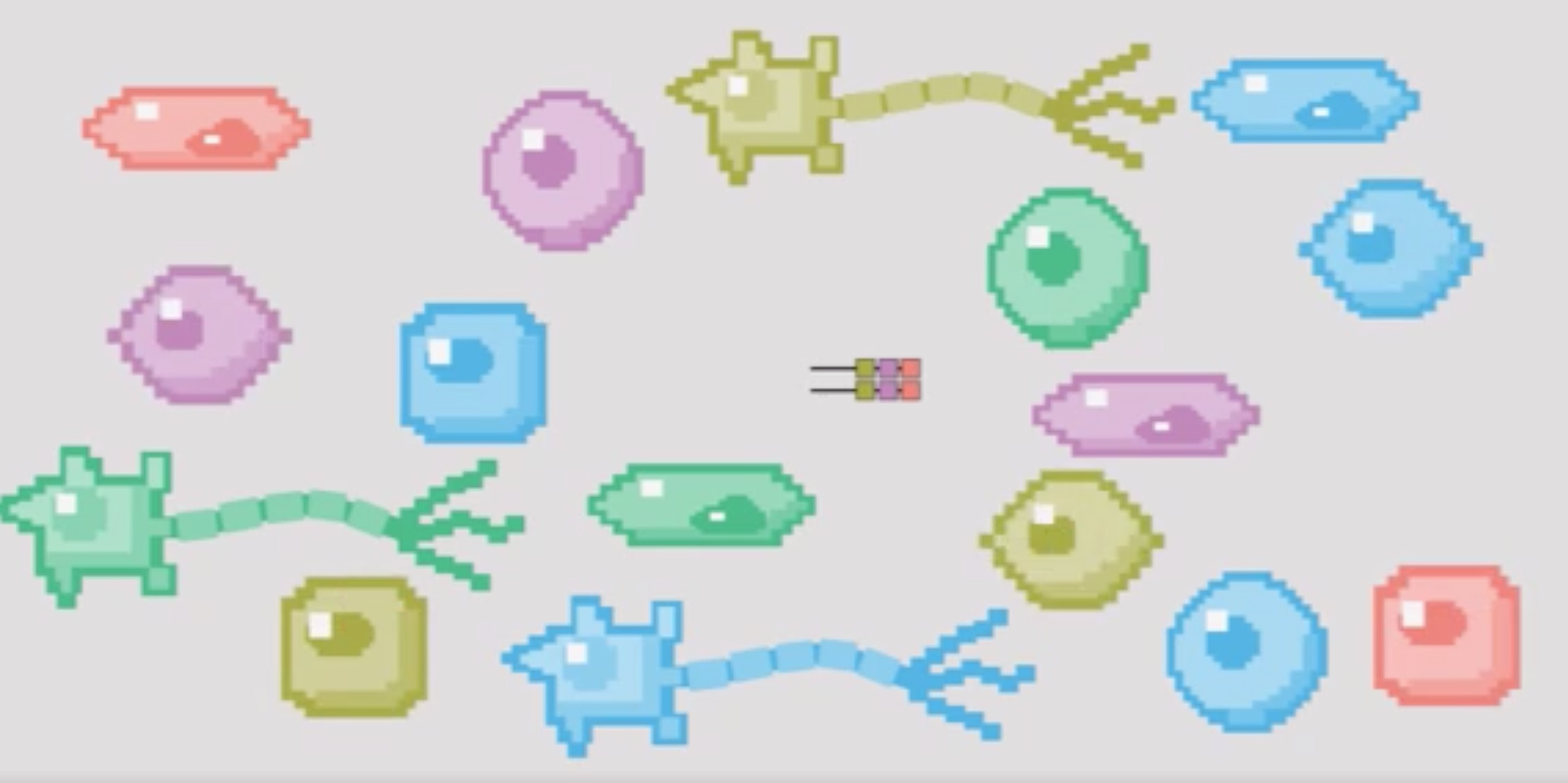 Tracking Organ Development, Cell by Cell | Cell And Molecular Biology