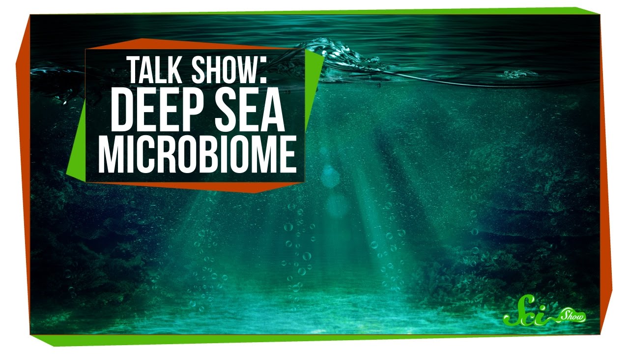 Microbes and Methane in the Deep Sea | Videos