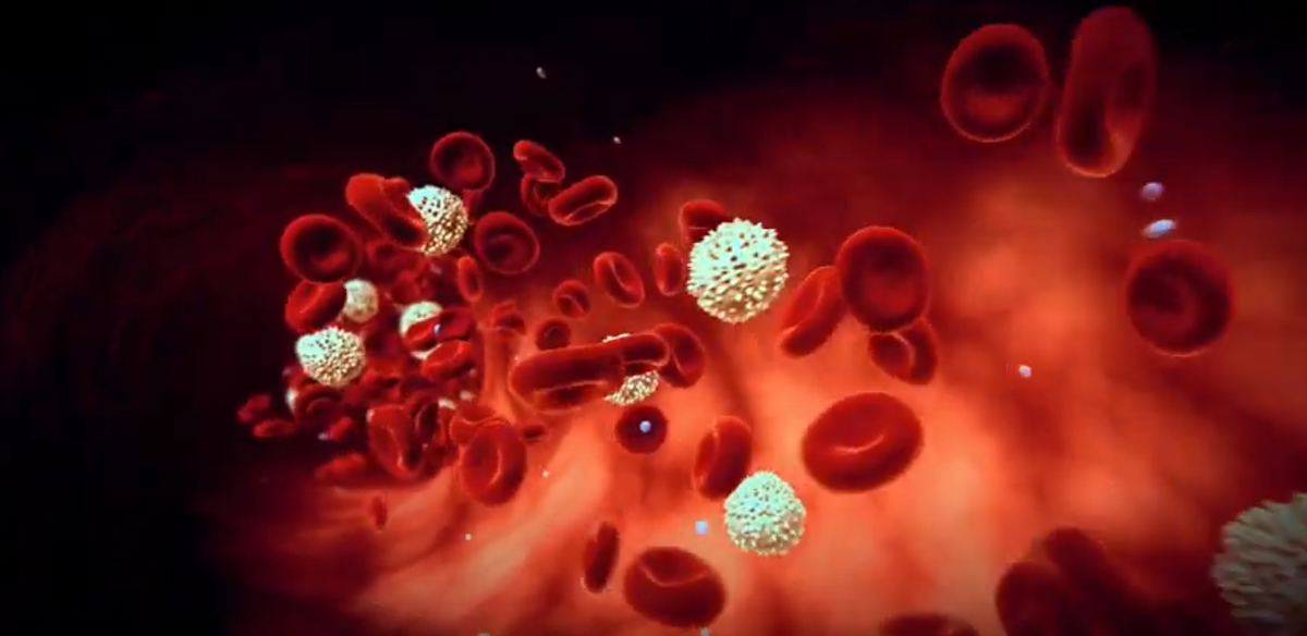 Free-Floating Mitochondria Found in Blood | Genetics And Genomics