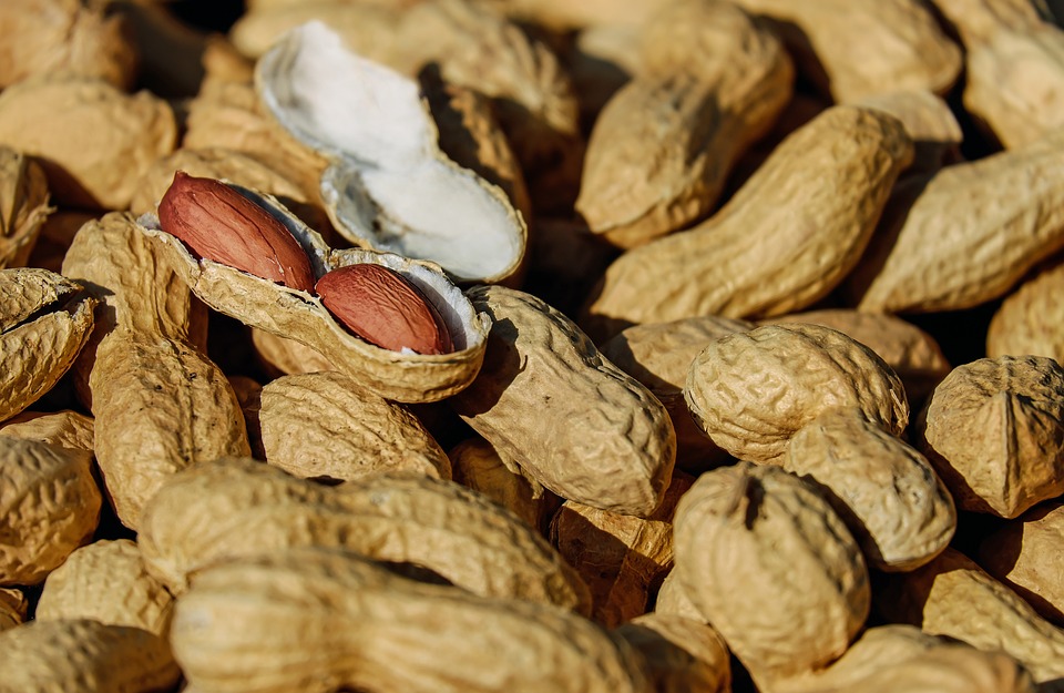 Teaching the Immune System to Ignore Food Allergens | Immunology